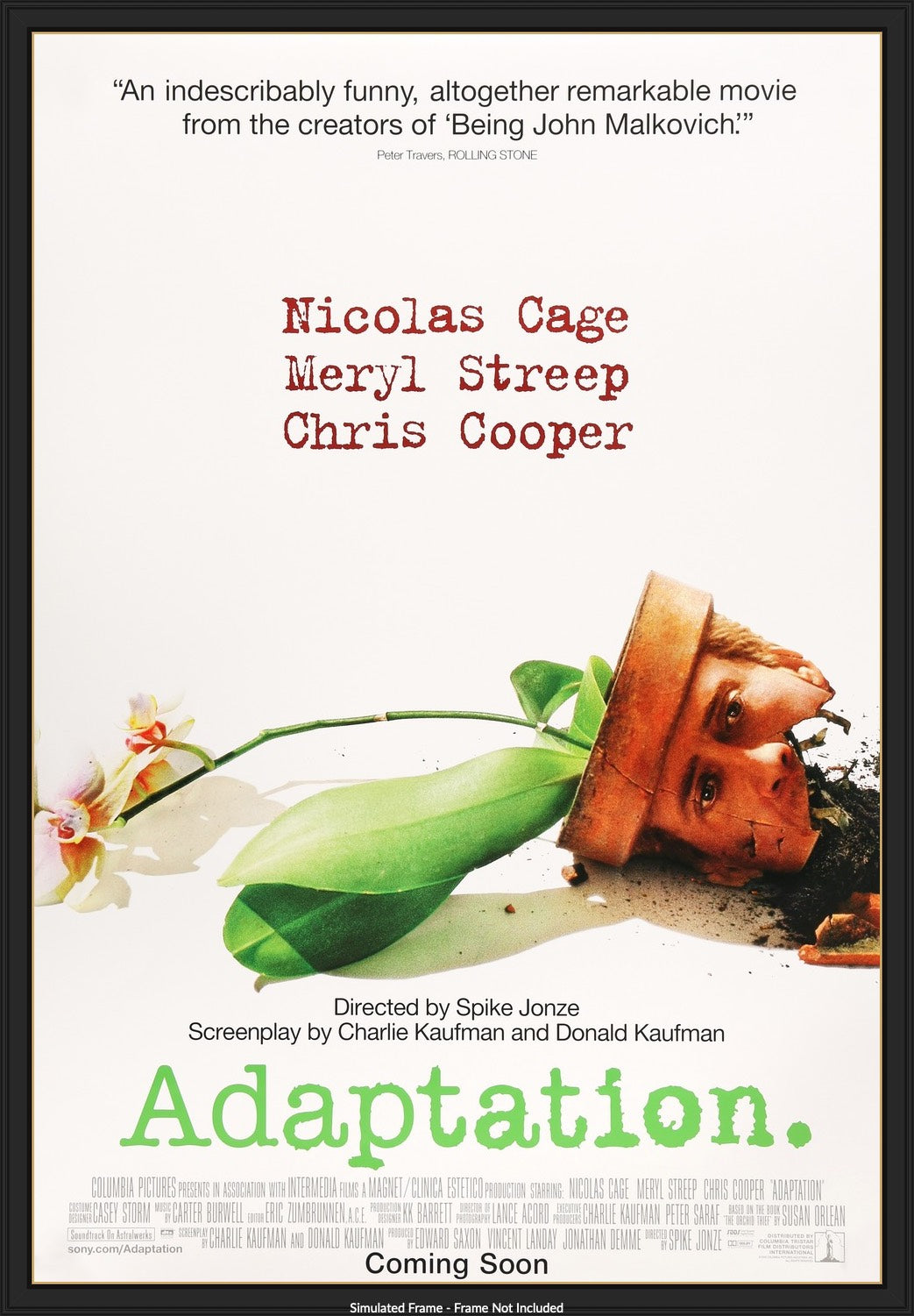 Adaptation (2002) Original One-Sheet Movie Poster - Original Film Art ...
