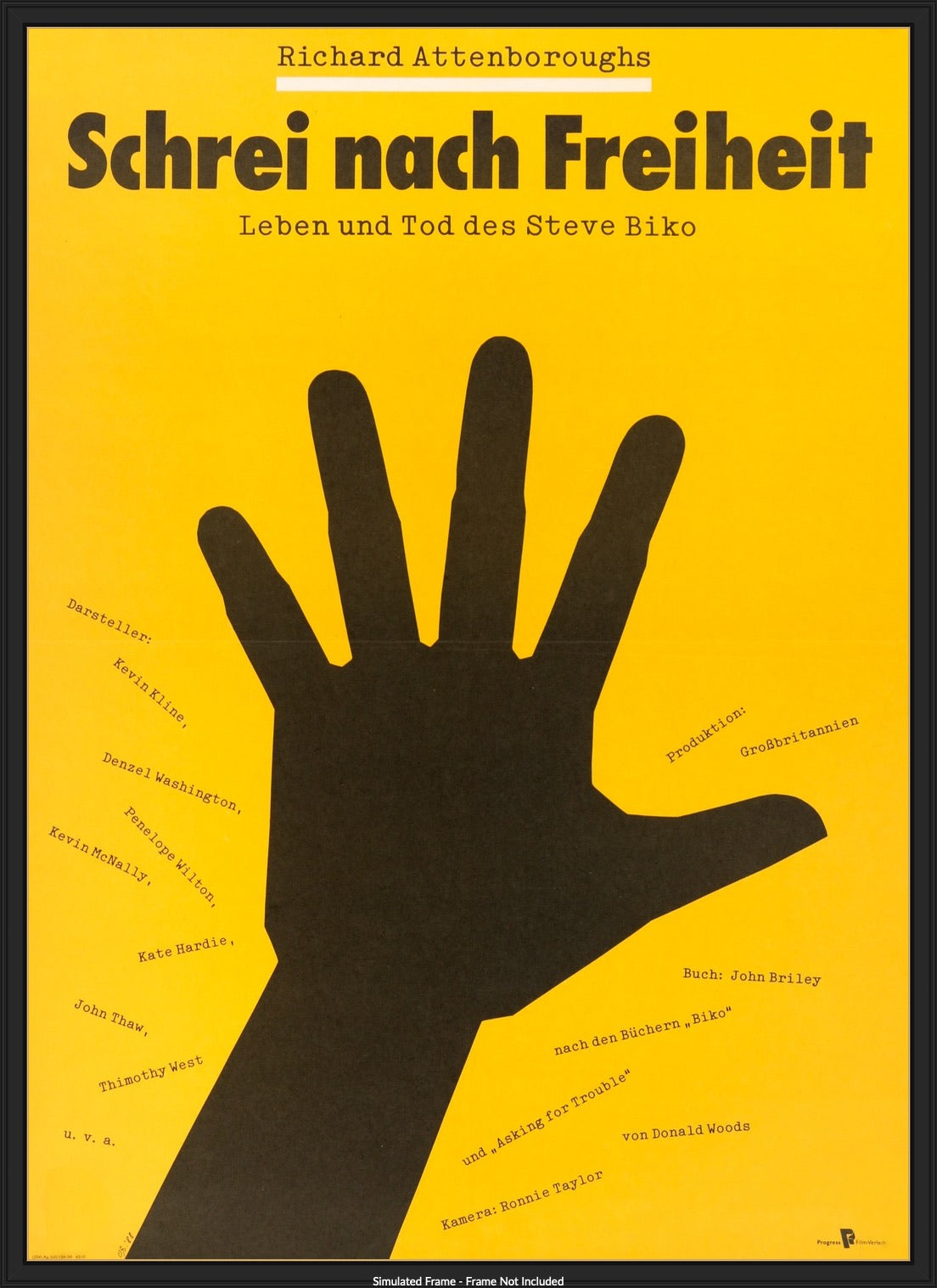 Cry Freedom Poster